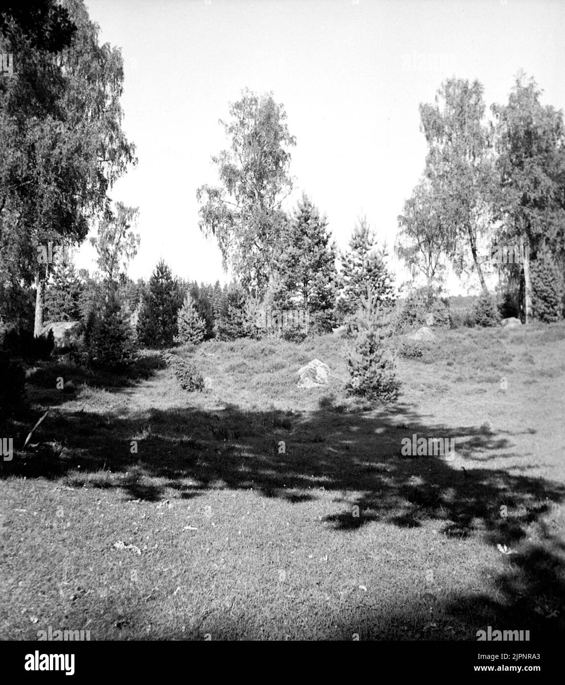 Natural memories from Sandhem, Grimstorp Ekängen. Naturminnen från ...