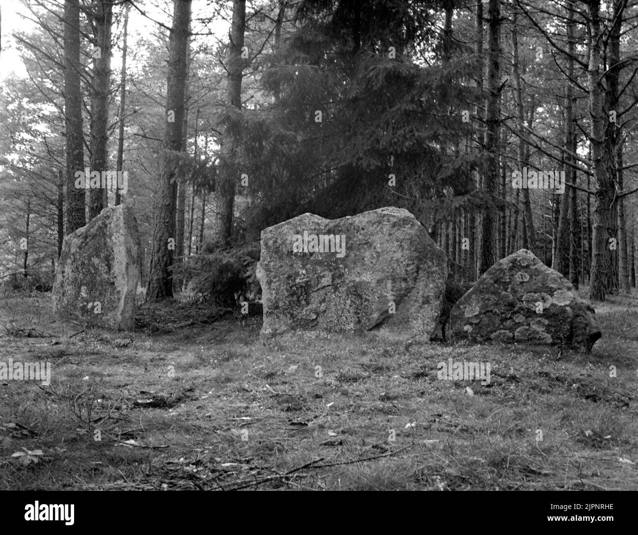 Rest stones, Bältaregården Gökhem Resta halls, called "Gökuma kara ...