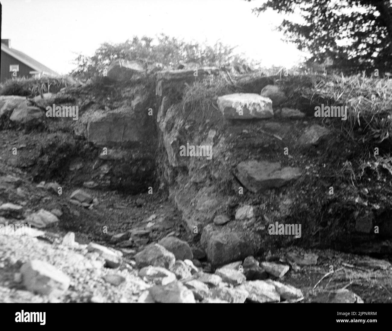 Preliminary analysis Black and White Stock Photos & Images - Alamy