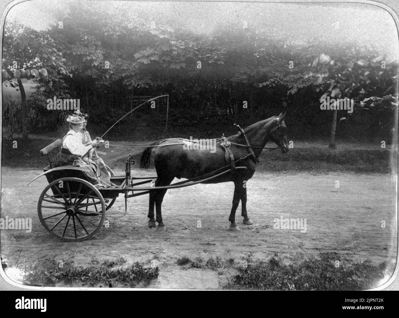 Stenbeck hi-res stock photography and images - Alamy