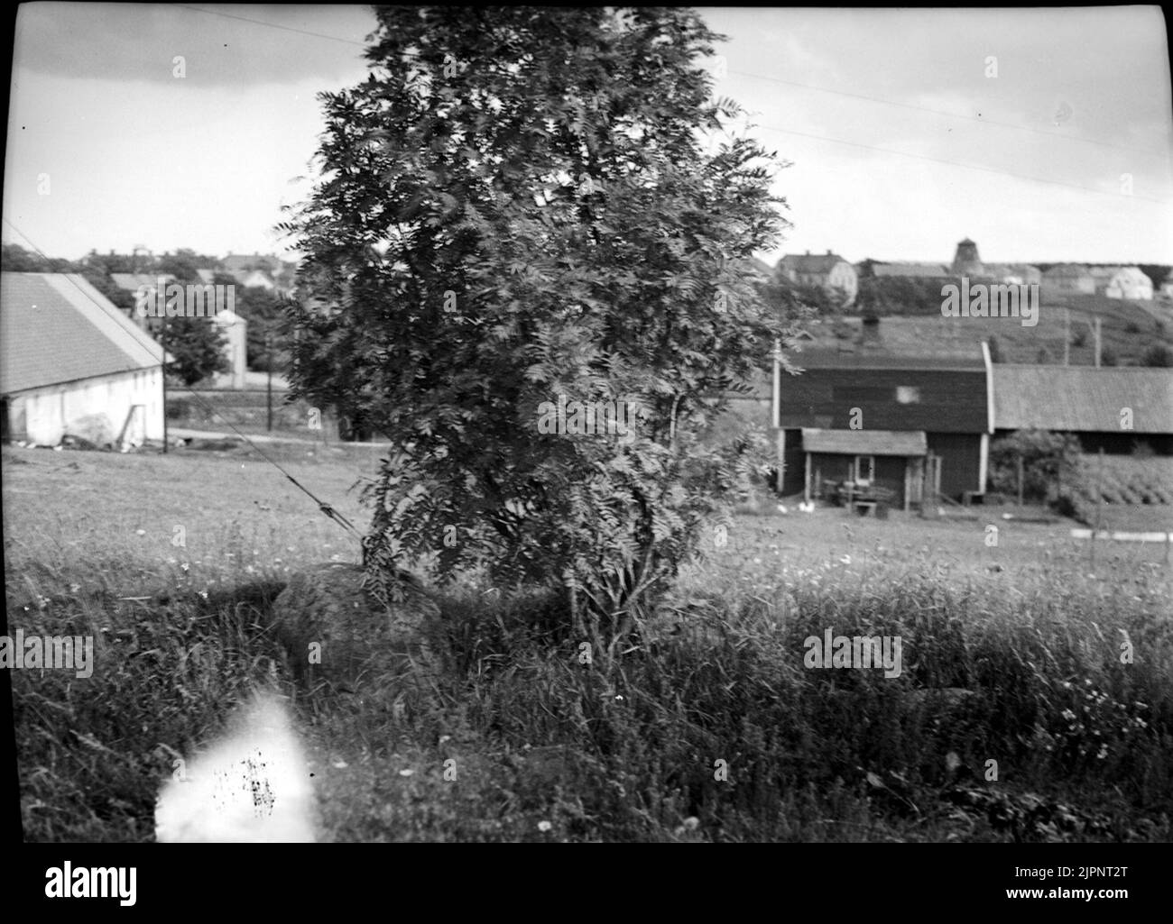 Angel's garden (Werner) no. 12 in Sahlstr.'s Gudhem's district memory ...