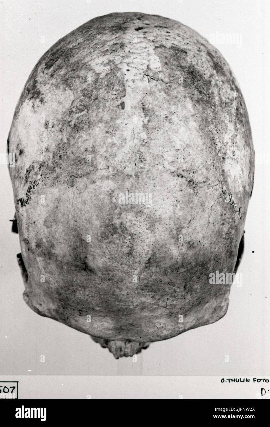 Kranium hi-res stock photography and images - Alamy