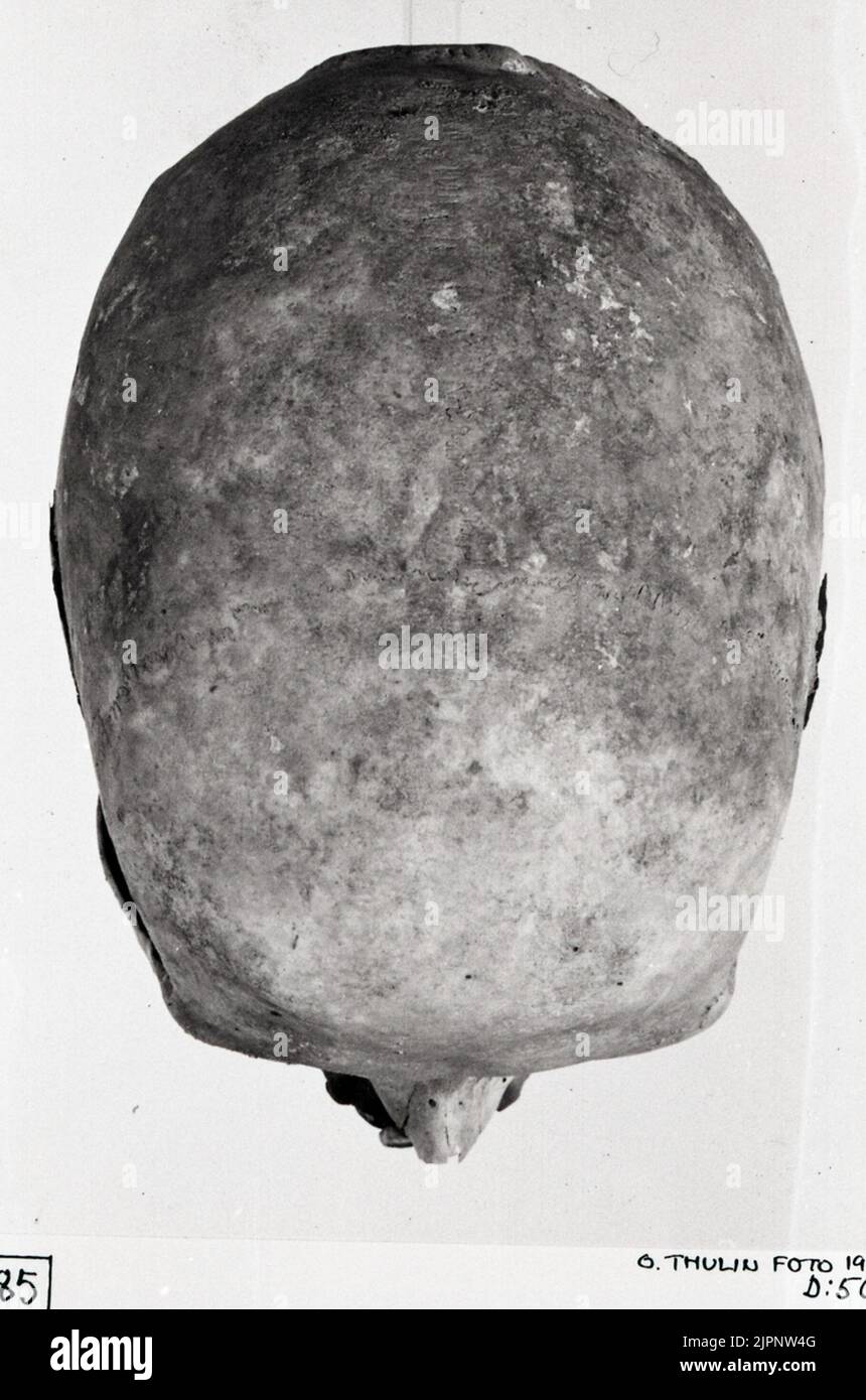 Skull photo hi-res stock photography and images - Alamy