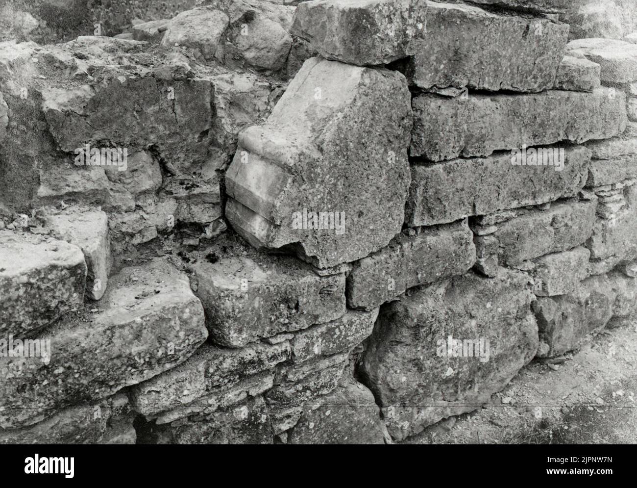 Langans hi-res stock photography and images - Alamy