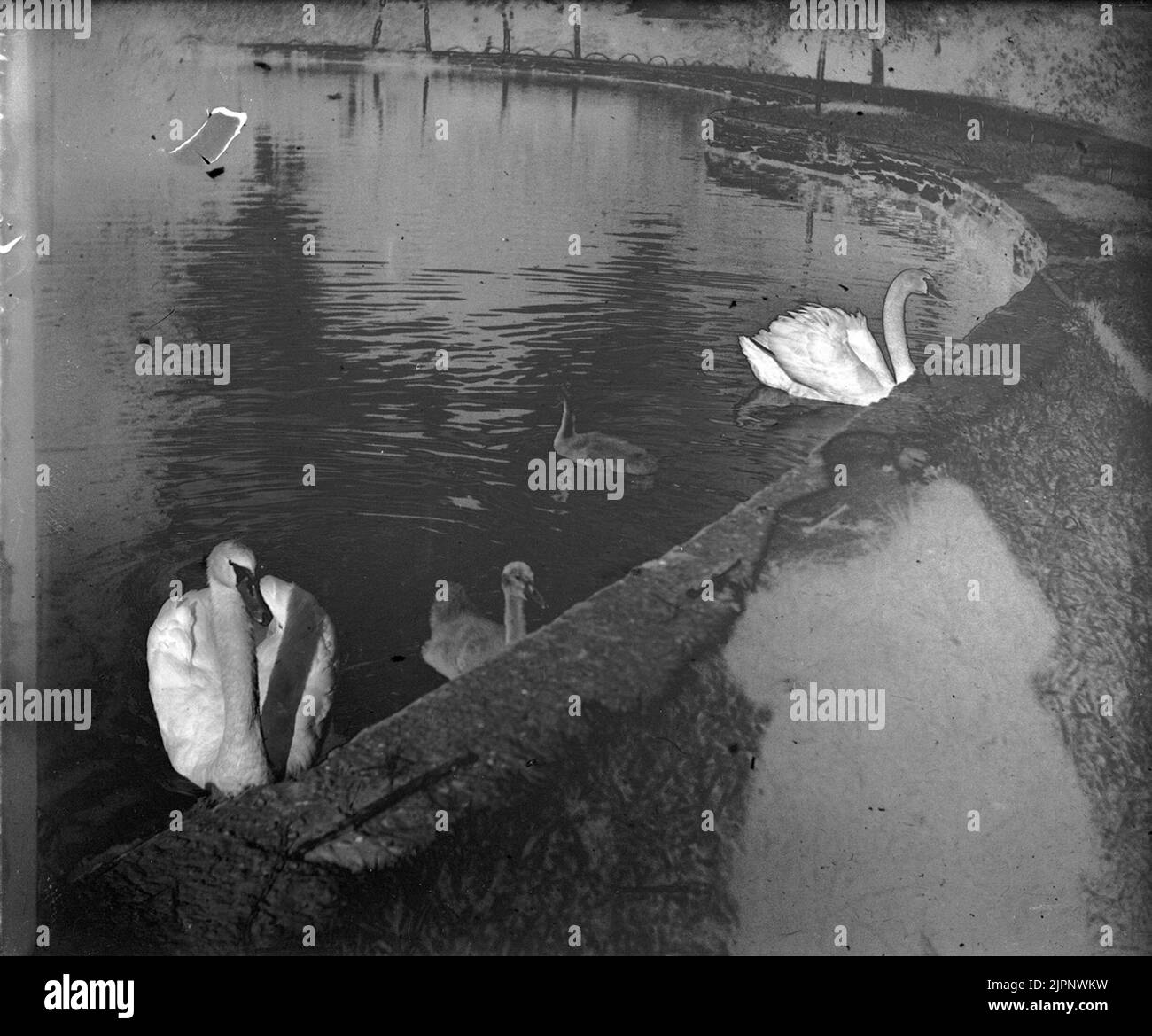 Display frame Black and White Stock Photos & Images - Alamy