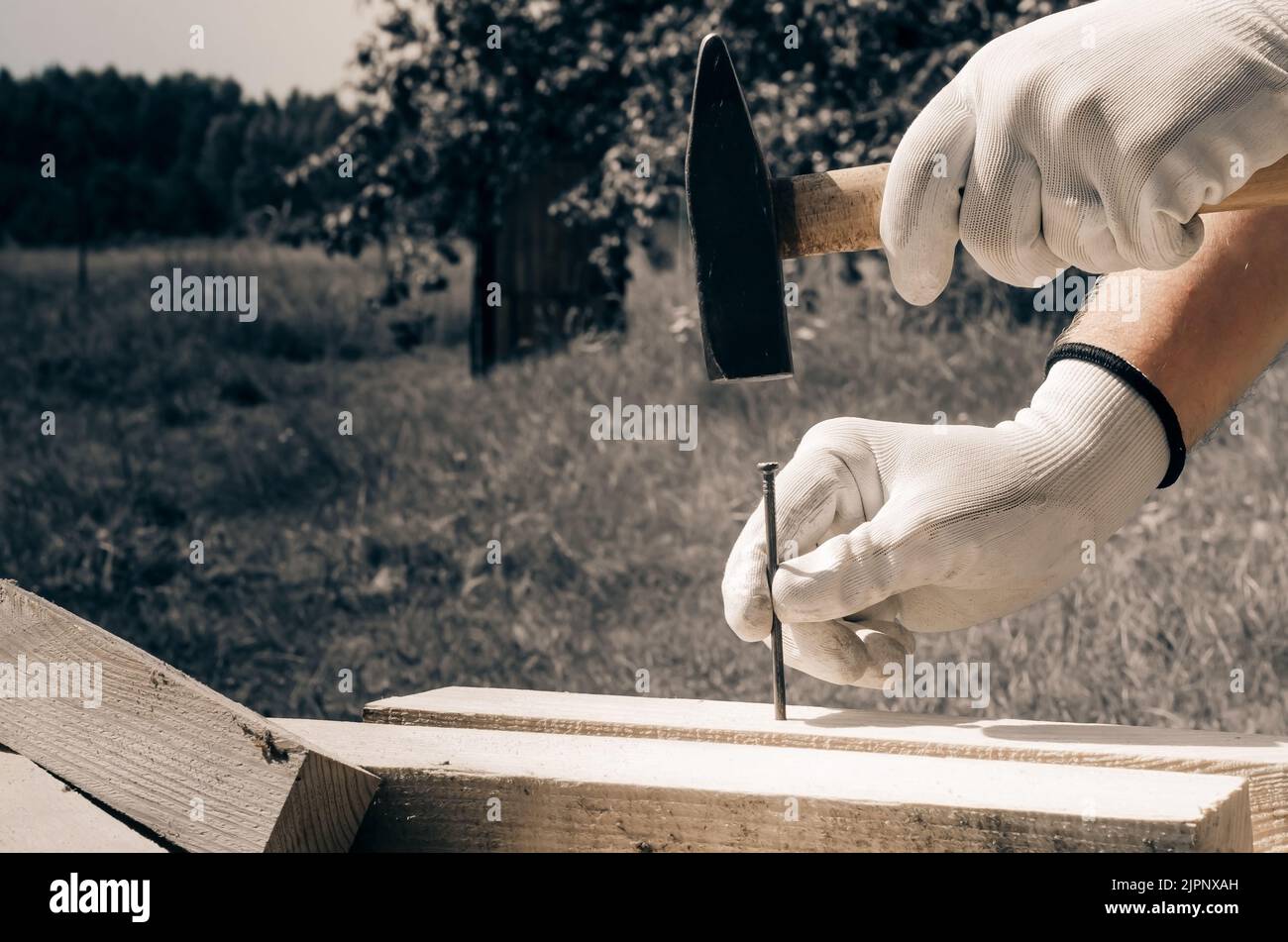 A hand with a hammer hammers a nail into a wooden board. Construction ...