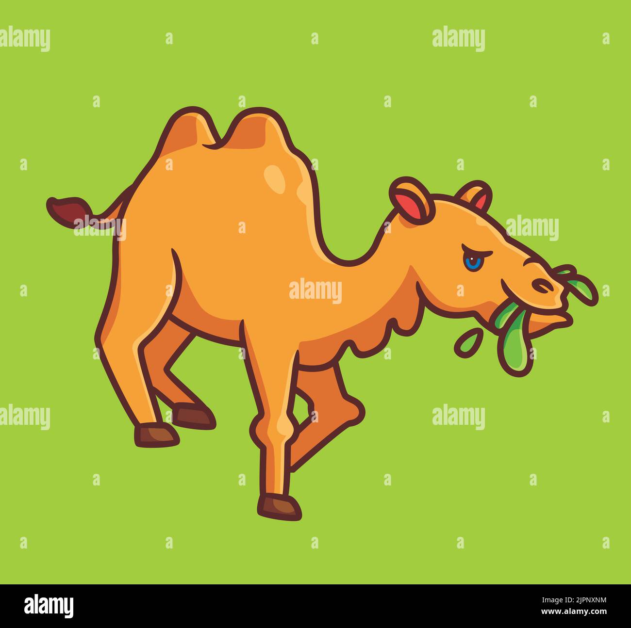 cute camel eating grass. isolated cartoon animal illustration. Flat ...