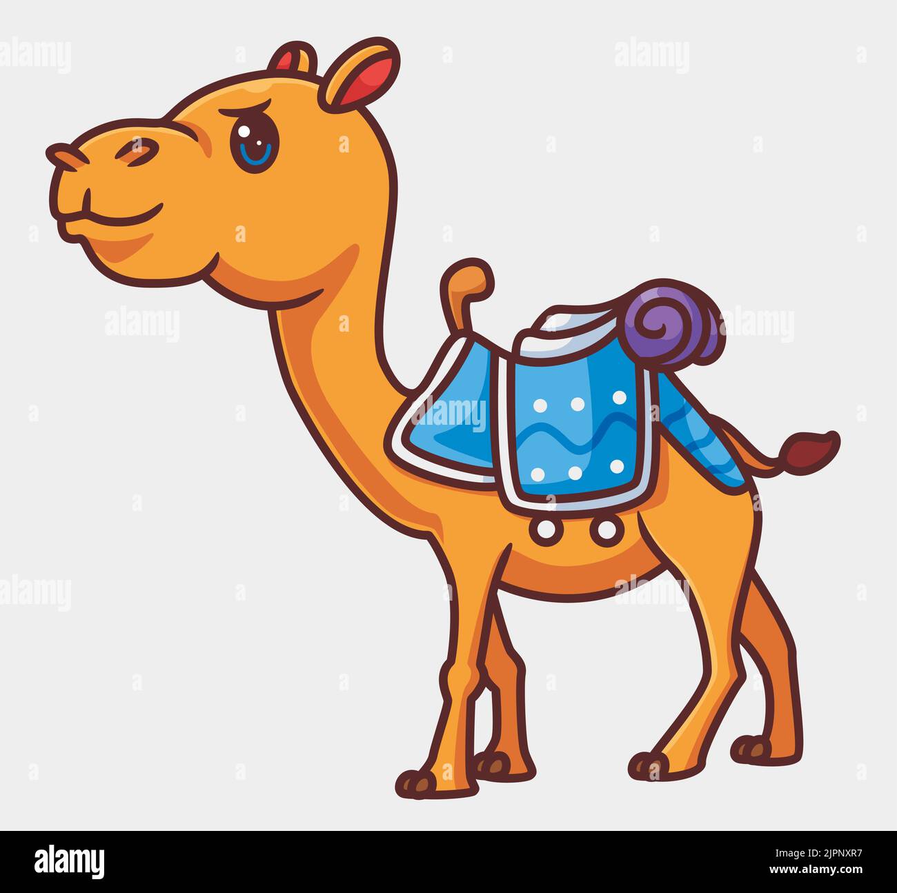 cute outfit camel accessories. isolated cartoon animal illustration ...