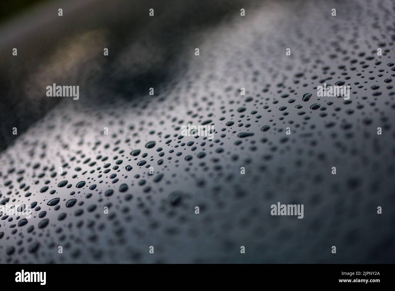 A selective focus shot of black droplets of water on a silvery surface ...