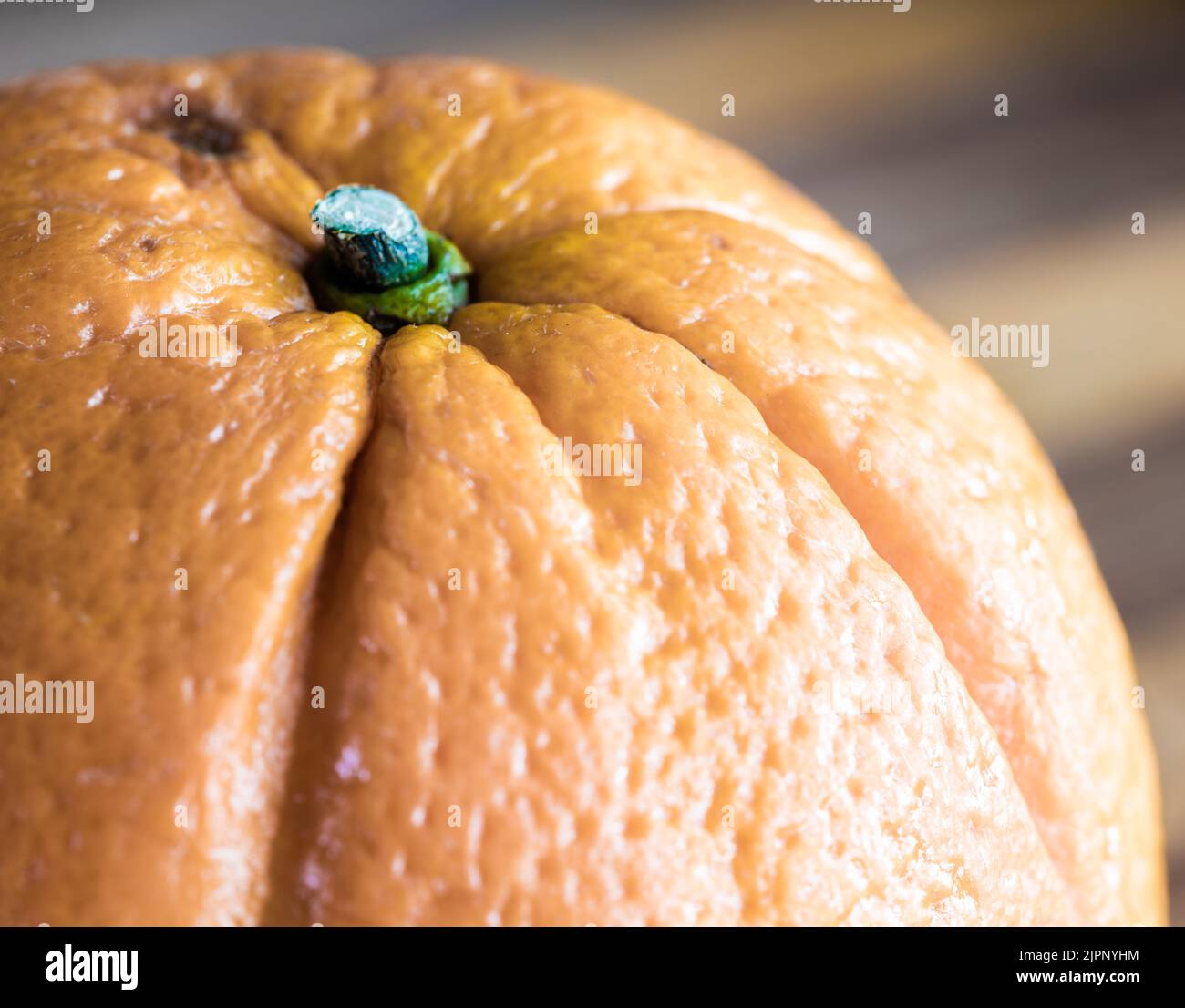 Orange in close-up. Structure of an orange peel on a macro scale. Juicy ...