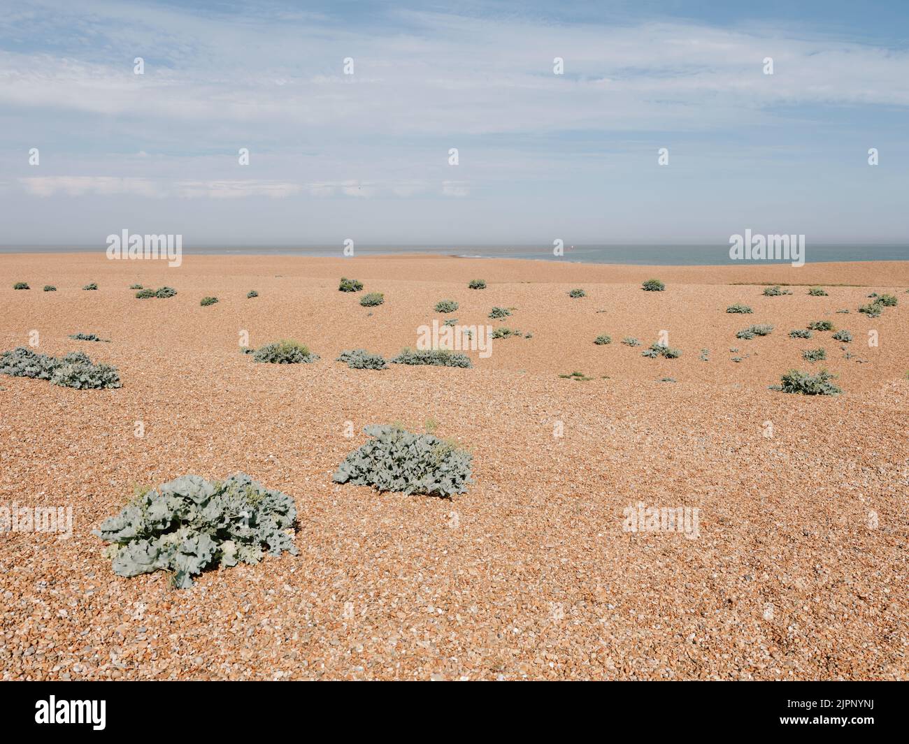 Shingle street hi-res stock photography and images - Alamy