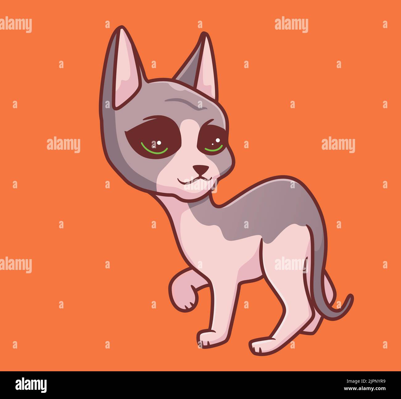 cute cat sphinx walking looking behind. isolated cartoon animal ...