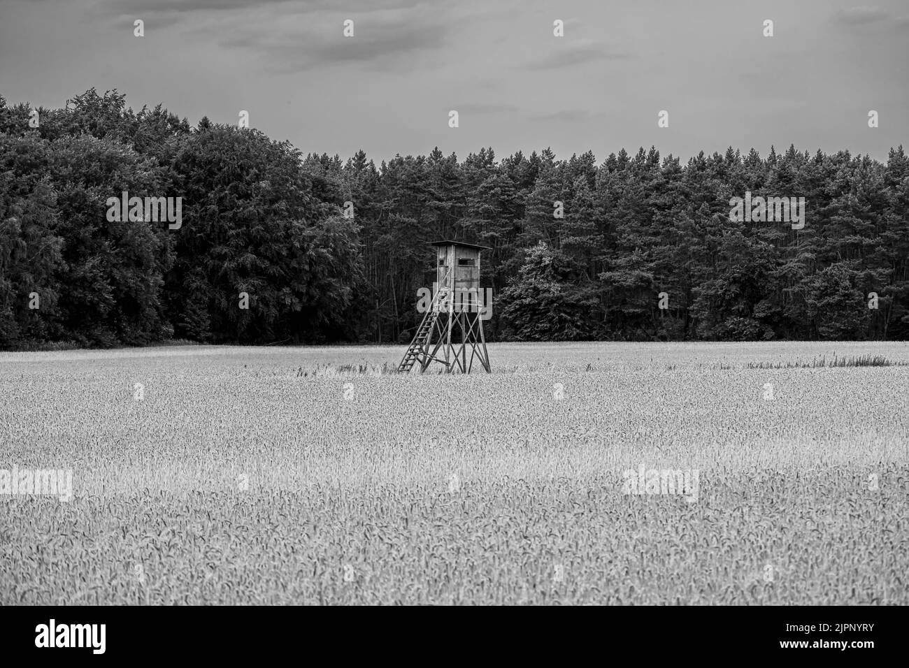 German huntsman hi-res stock photography and images - Alamy