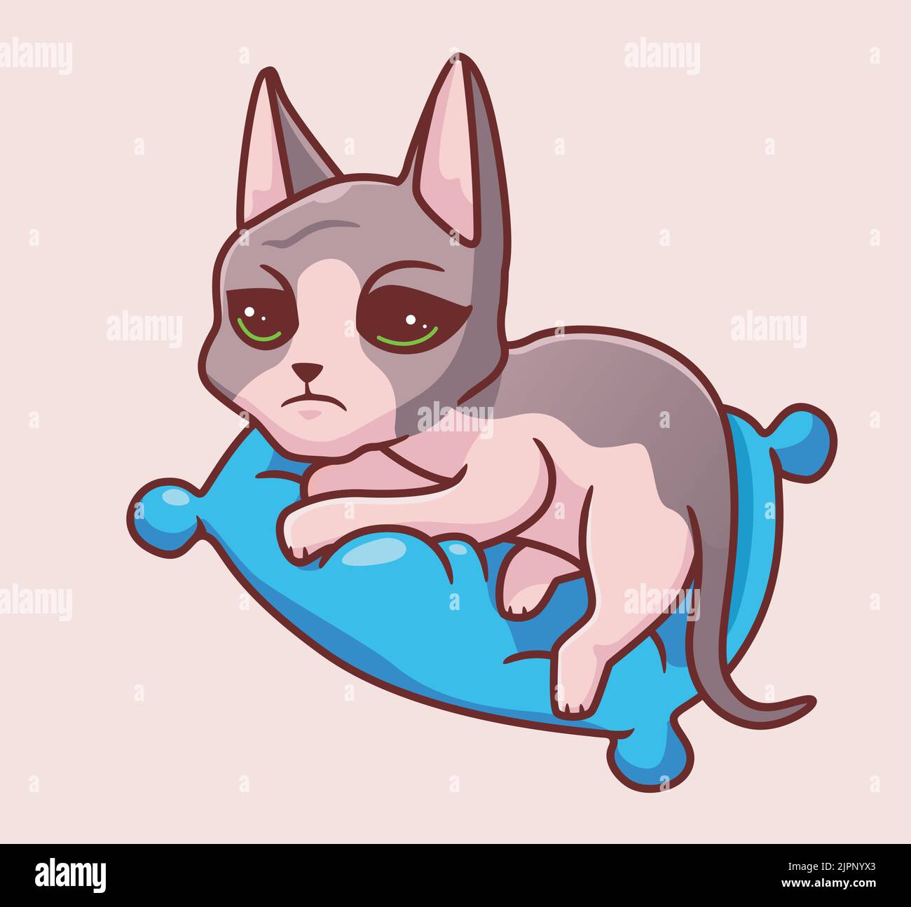 cute cat sphinx lying on pillow for sleep. isolated cartoon animal ...