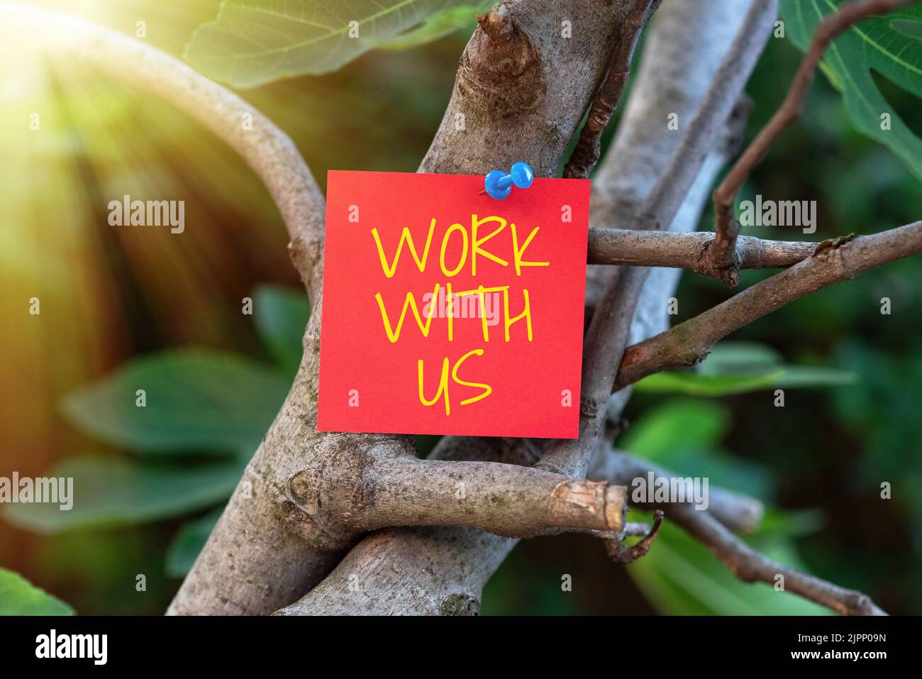 Handwriting text Work With Us, Business overview Invitation to join a ...