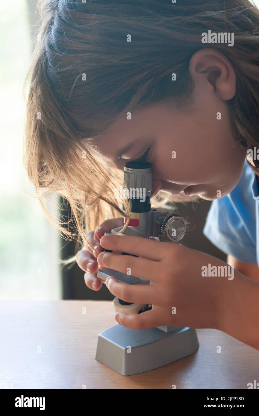 Girl with long brown hair looking at a specimen through a school ...