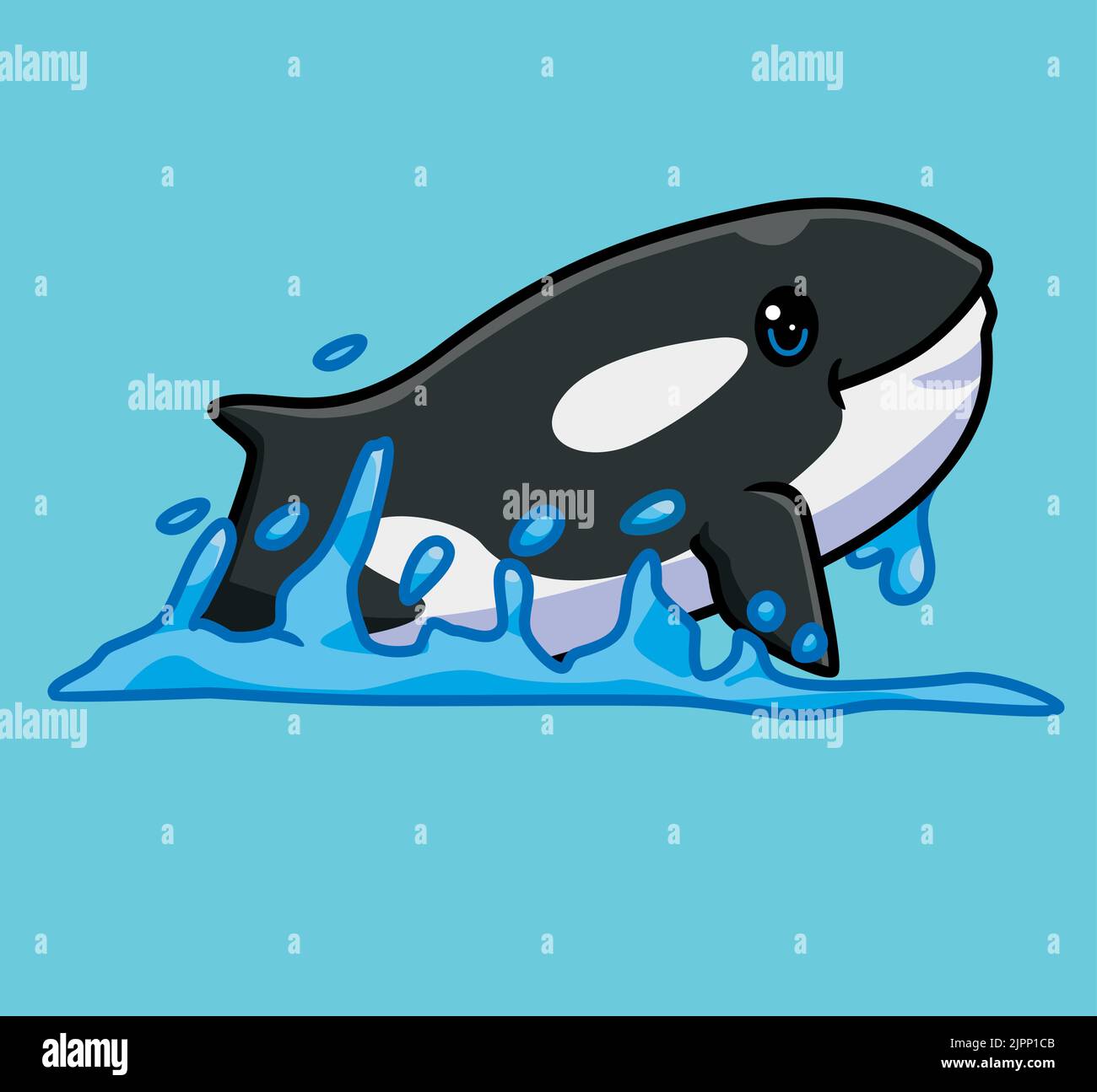 cute killer whale surface on ocean. isolated cartoon animal ...
