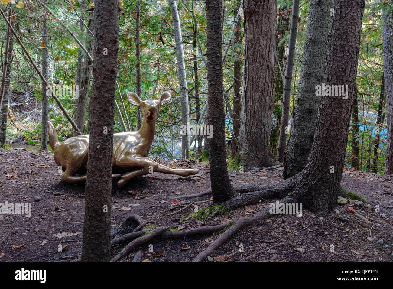 Robert Cram's Whitetail Deer, polished bronze sculptures, are a ...