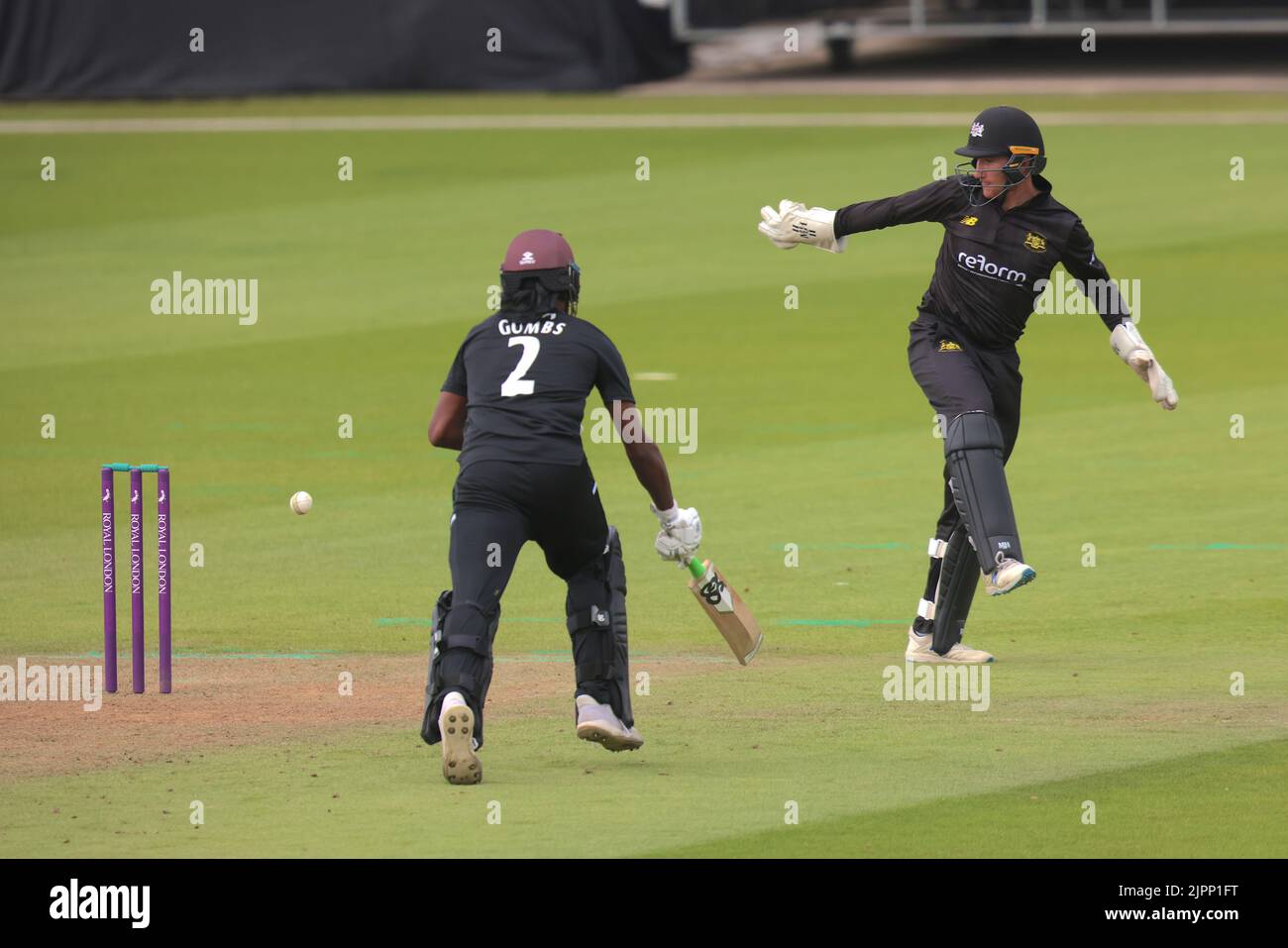 Surreys sheridon gumbs hi-res stock photography and images - Alamy