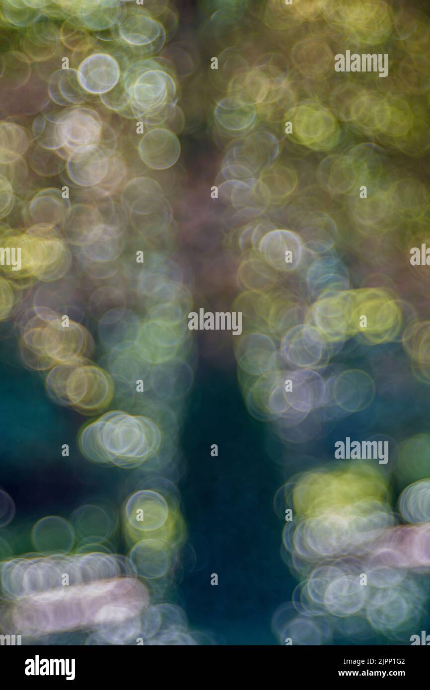 soft bubble bubbles in the picture generated by Meyer Optik Gorlitz ...