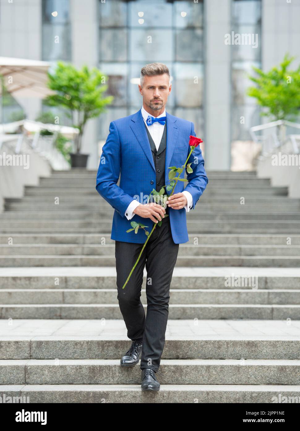 elegant man in tux. man wearing tux bowtie outdoor. handsome tux man ...
