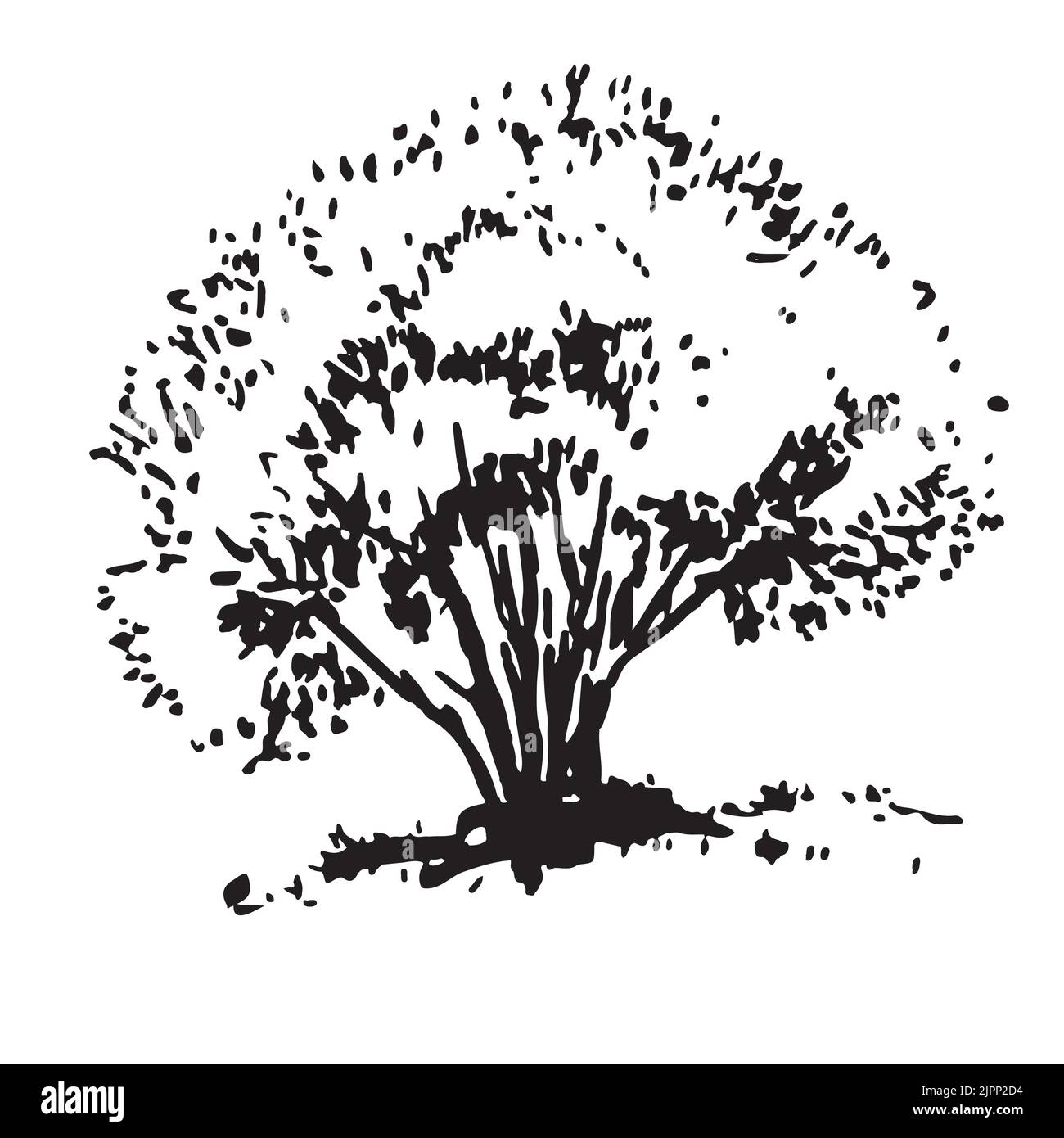 Hand-drawn bush. Black and white realistic image, sketch painted with ...