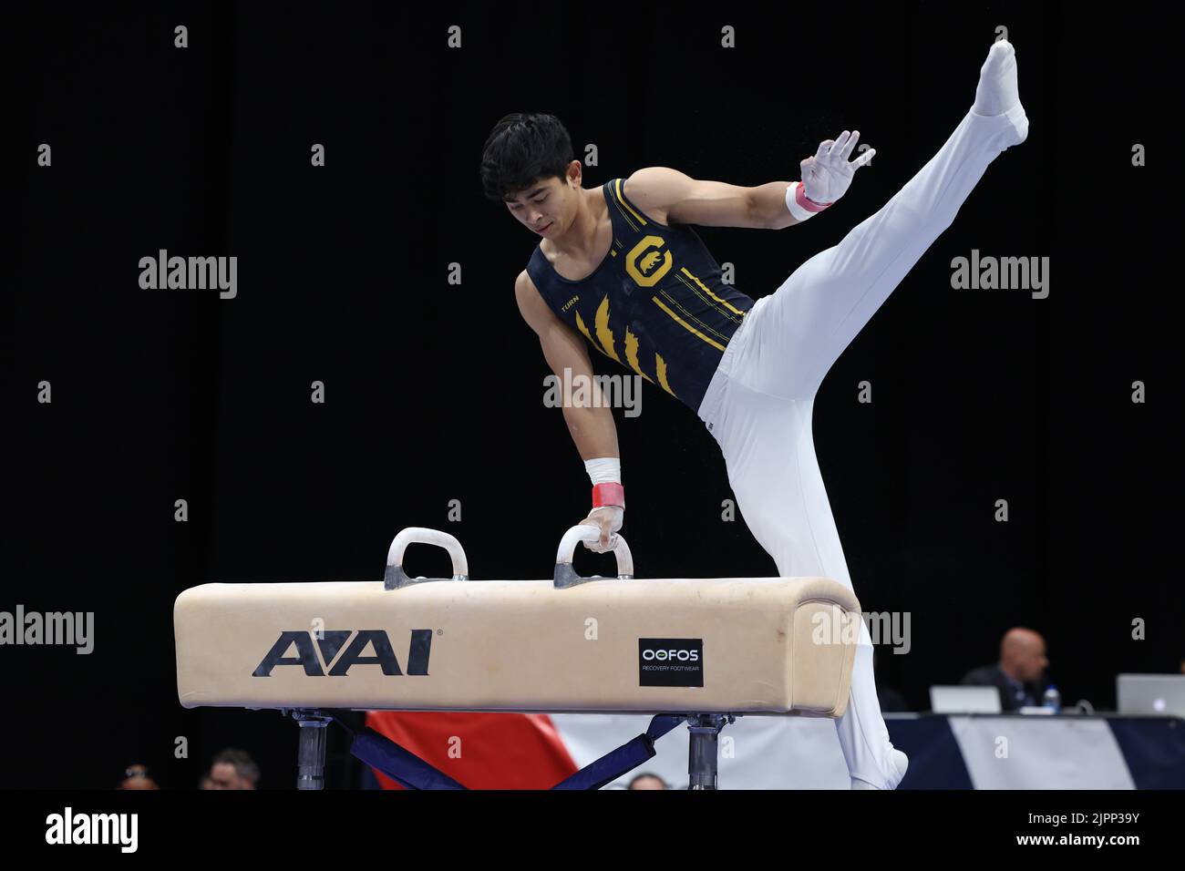 August 18, 2022: Noah Newfeld from University of California Berkeley ...
