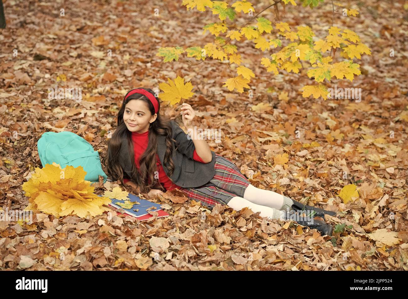 fall season fashion. teen girl in school uniform hold autumn leaves ...