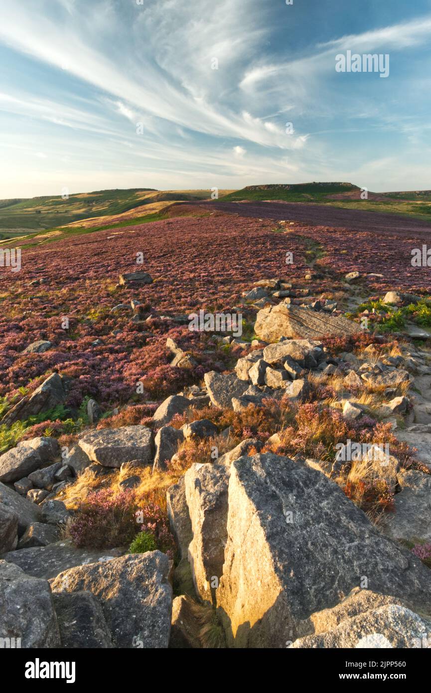 Looking across Hathersage Moor from Over Owler Tor in the Peak District ...