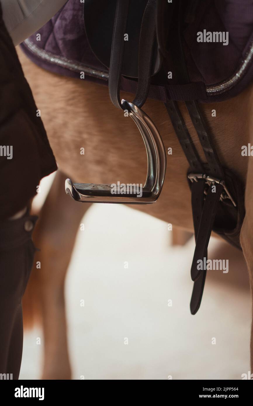A vertical closeup of stirrup attached to a saddle on a horse Stock ...