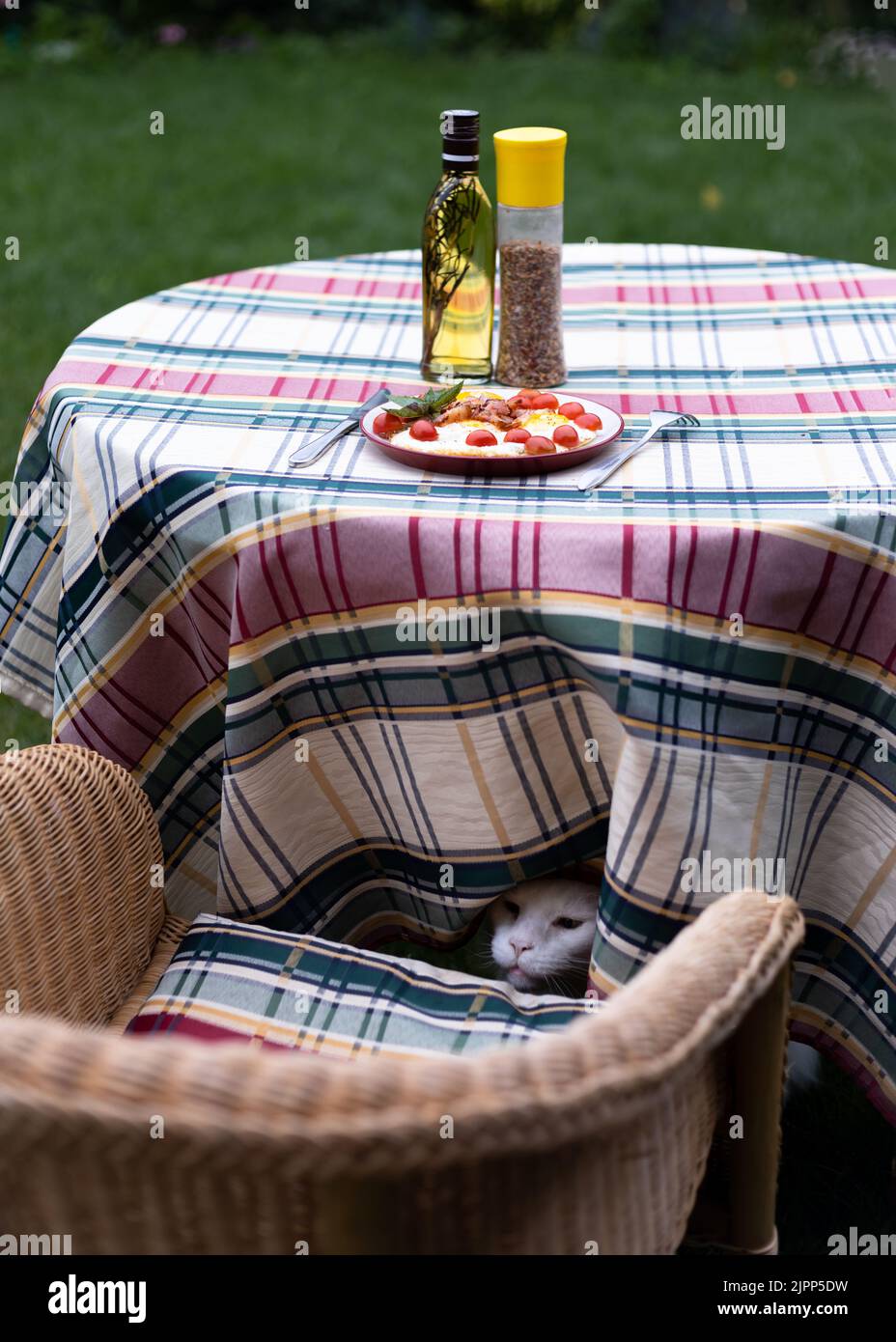 Healthy keto breakfast, scrambled eggs, bacon and tomatoes on a table ...