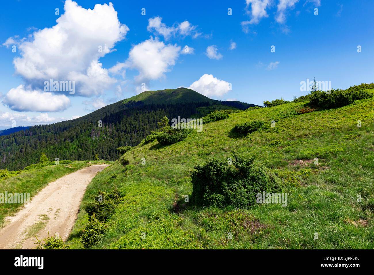 A road in the mountains that runs along the slope among meadows and ...