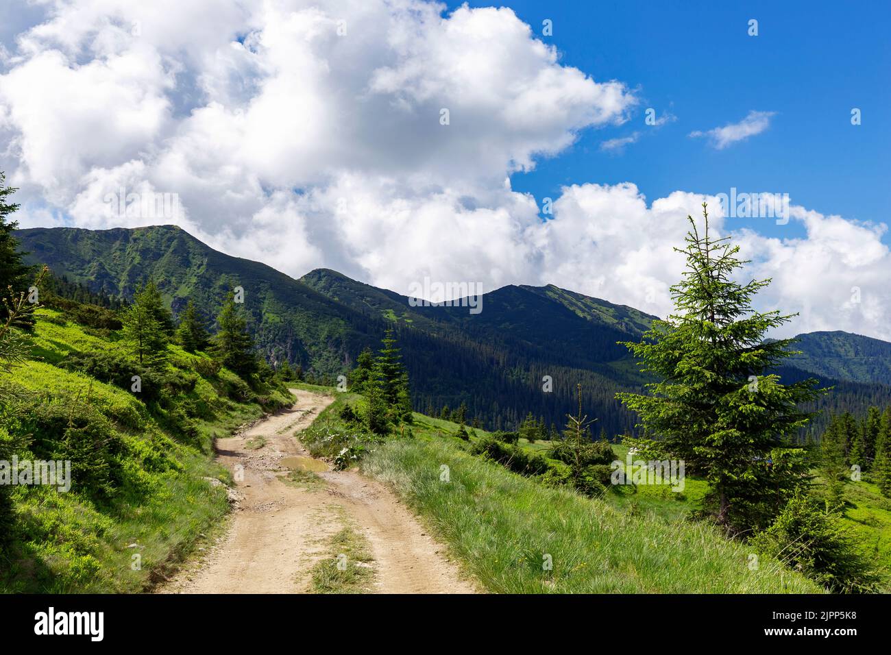 A road in the mountains that runs along the slope among meadows and ...