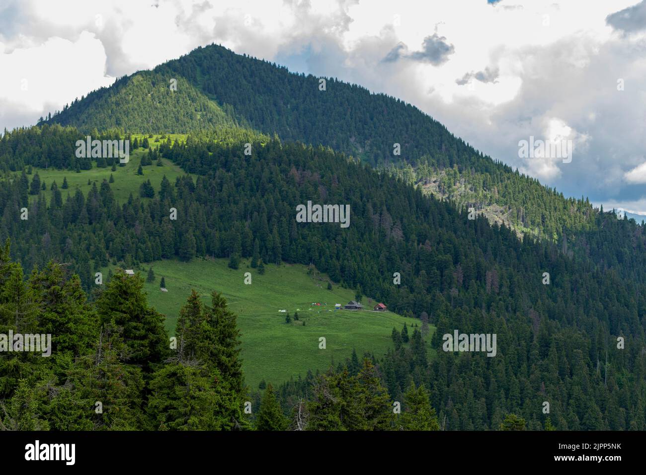Magical summer dawn in the Carpathian mountains. Region Maramures ...