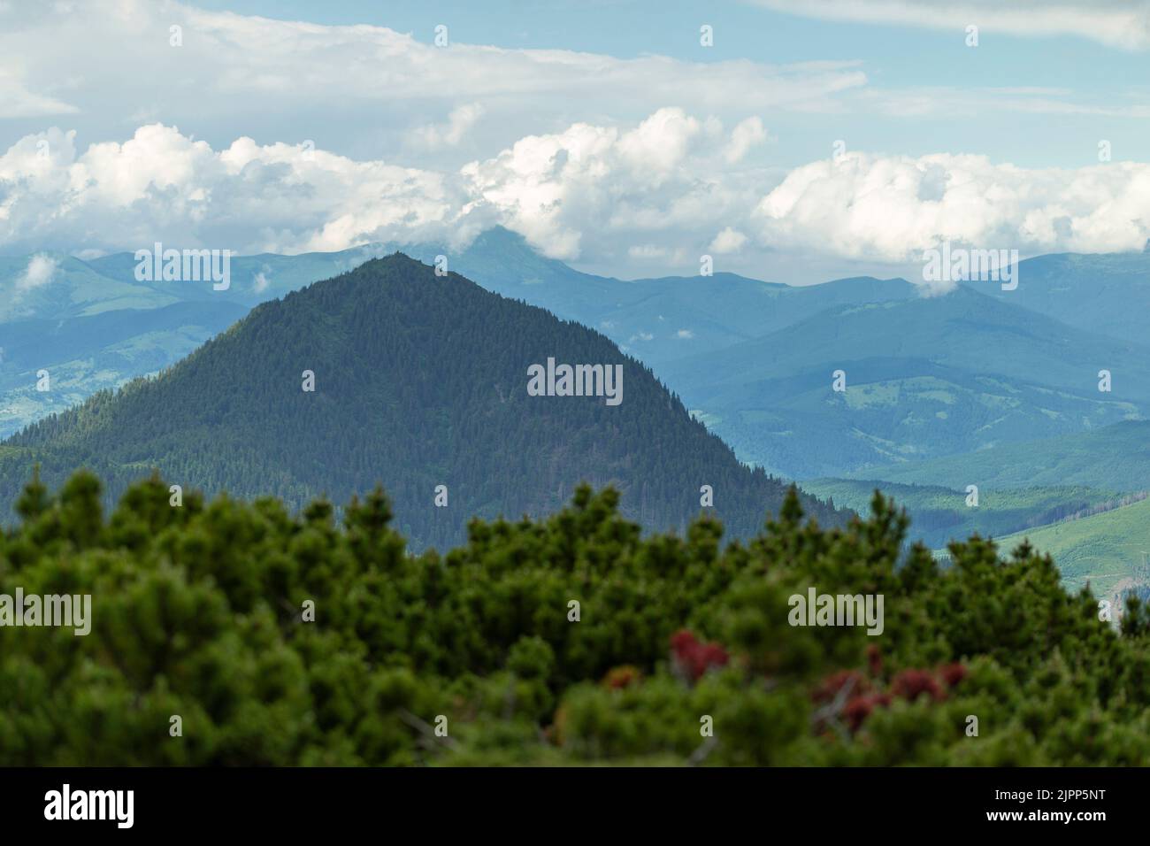 Magical summer dawn in the Carpathian mountains. Region Maramures ...