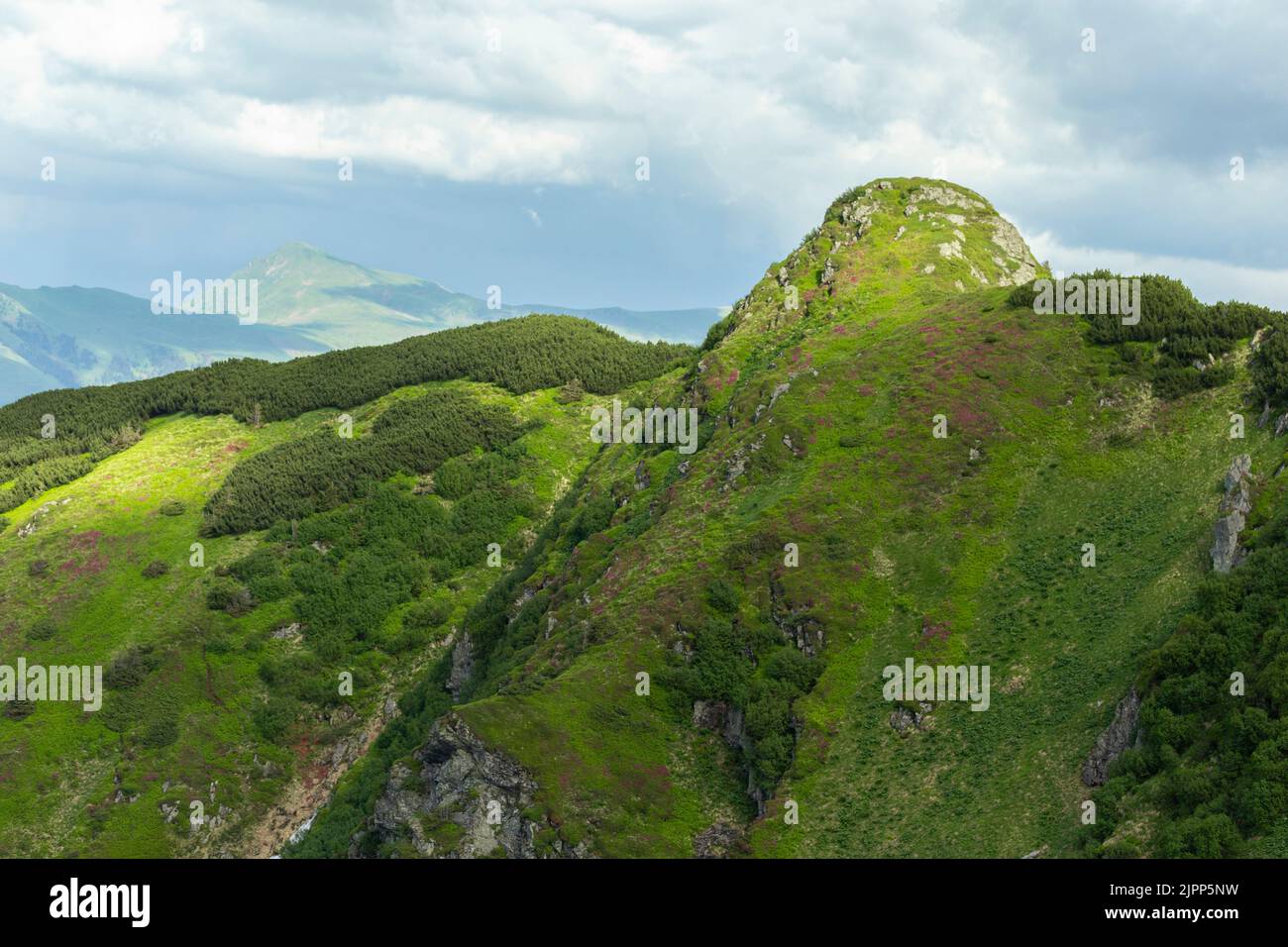 Magical summer dawn in the Carpathian mountains. Region Maramures ...