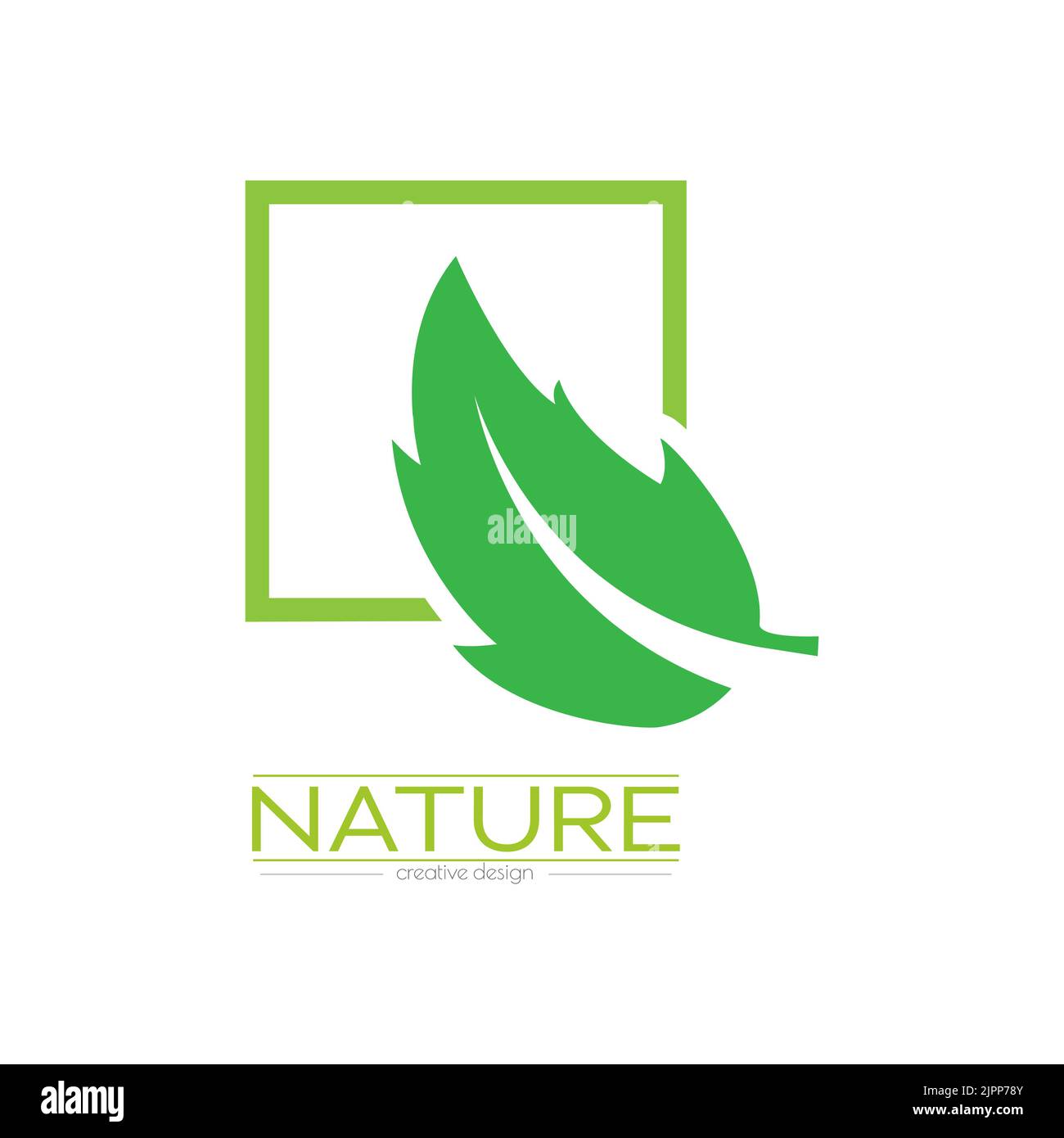 Nature. A green leaf in a square. Template for a logo, sticker, emblem ...