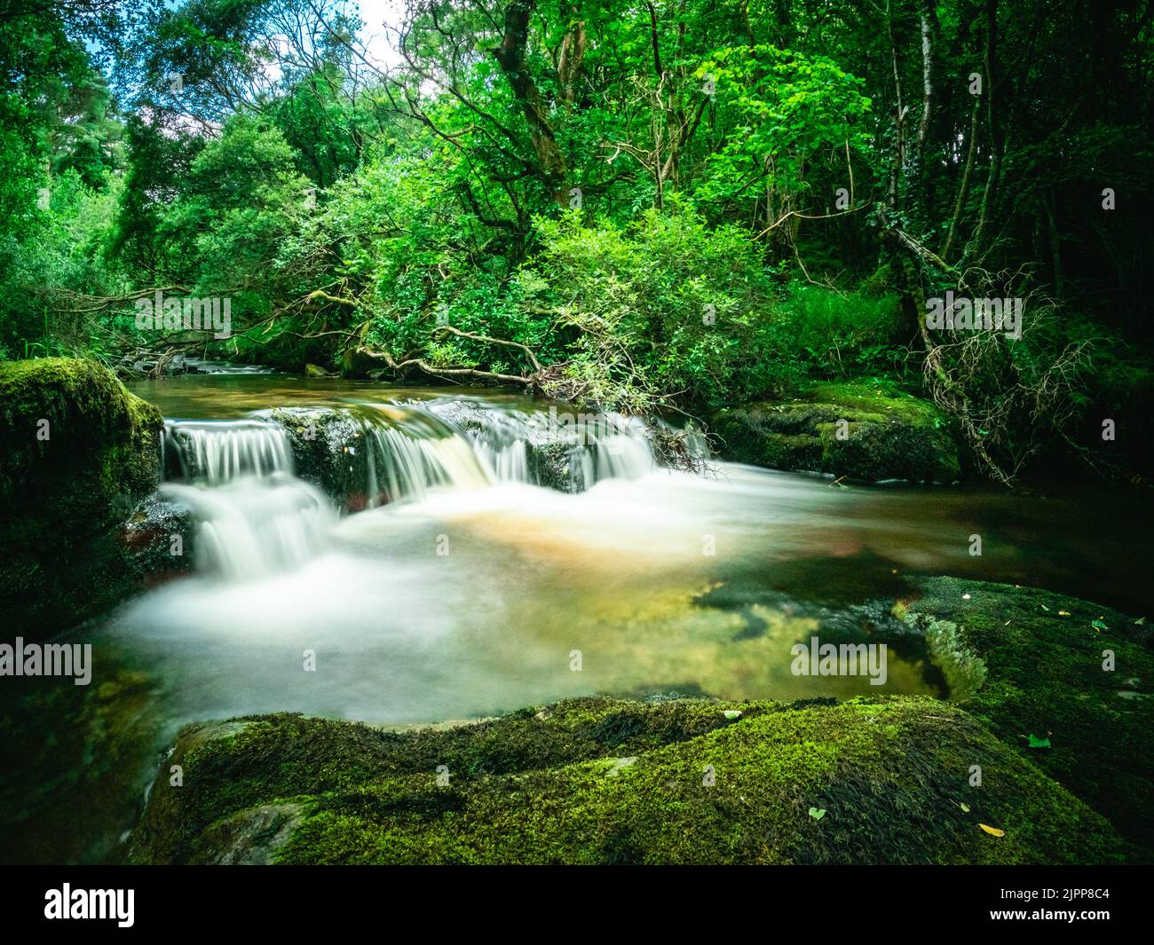 River mini waterfall, long exposure, forest park Ireland Stock Photo ...