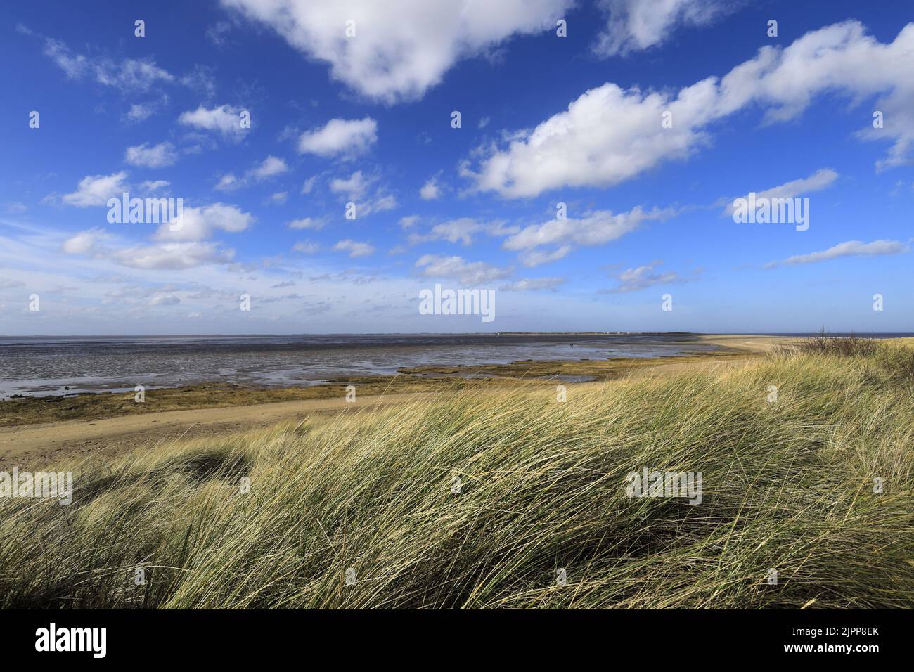 Humber vessel traffic service hi-res stock photography and images - Alamy