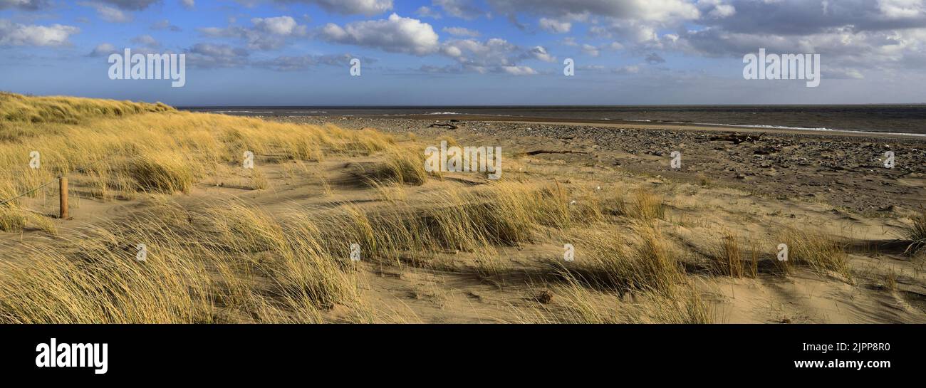 Spurn national nature reserve hi-res stock photography and images - Alamy