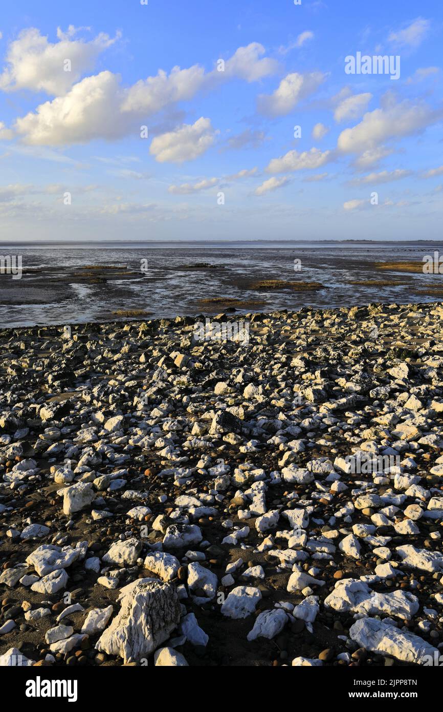 Humber vessel traffic service hi-res stock photography and images - Alamy