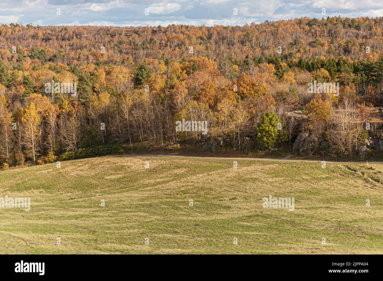 A beautiful landscape of an autumn forest from the field on a sunny ...