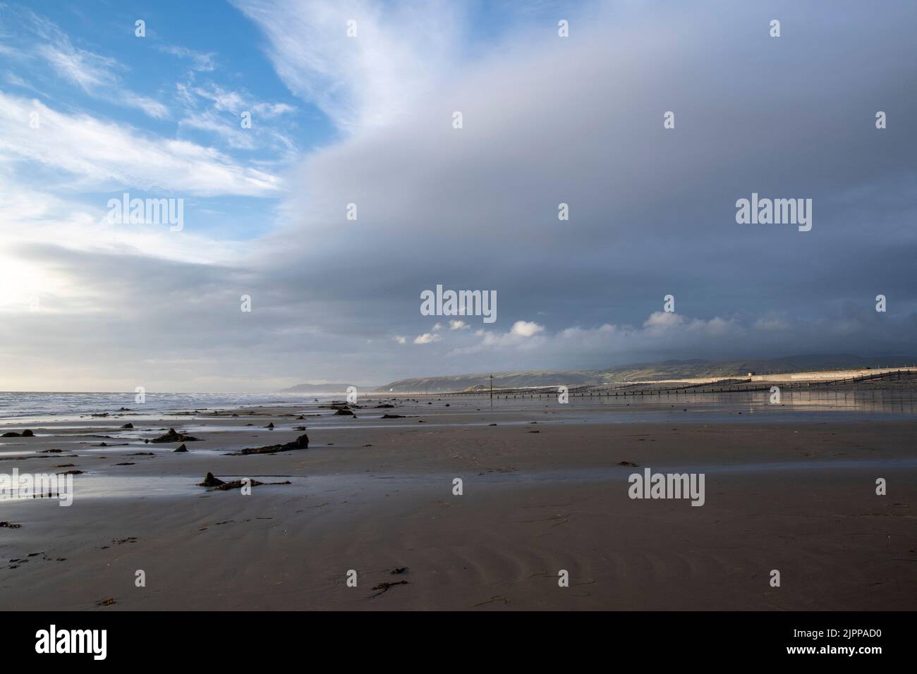 the petrified forest in borth Stock Photo - Alamy