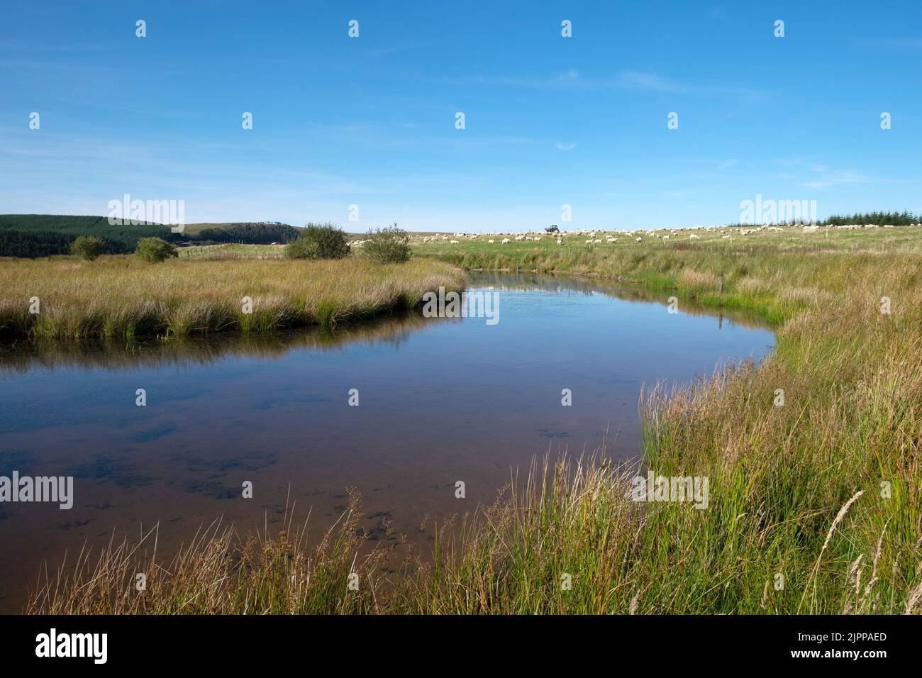 Pool of water tarn on hilltop in agricultural farming landscape summer ...