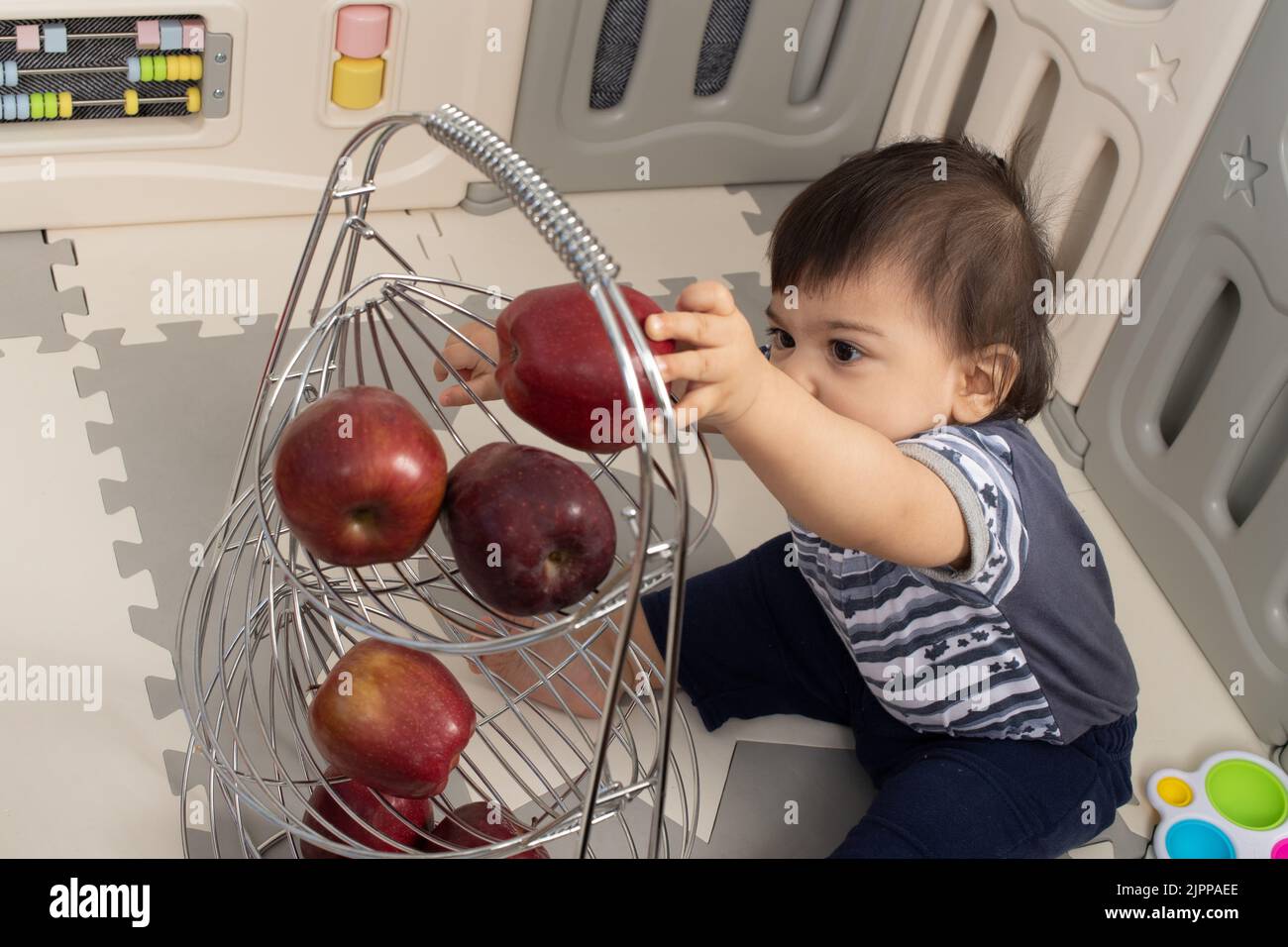11 month old baby boy at home reaching to take apple off of wire rack ...