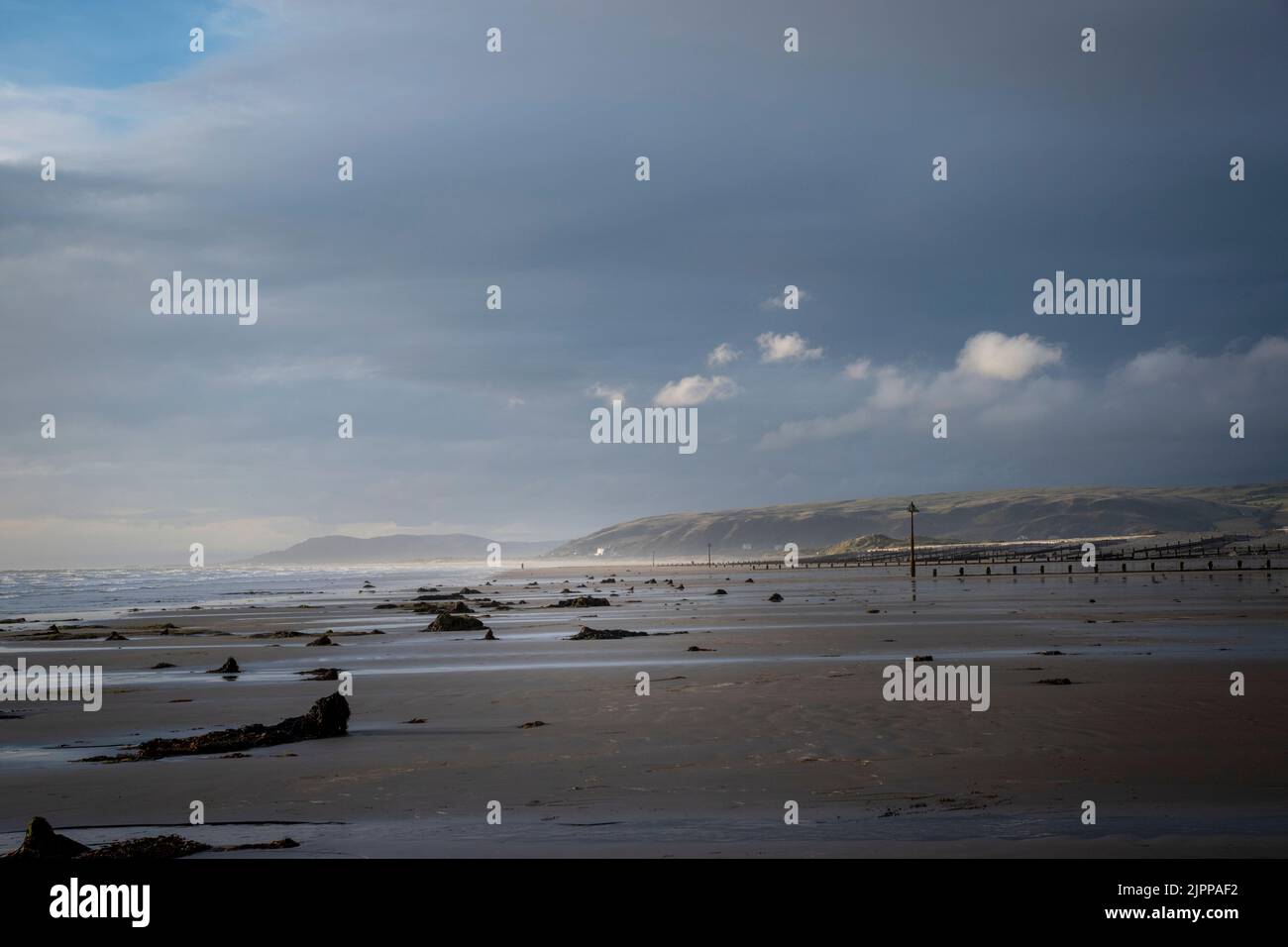 the petrified forest in borth Stock Photo - Alamy