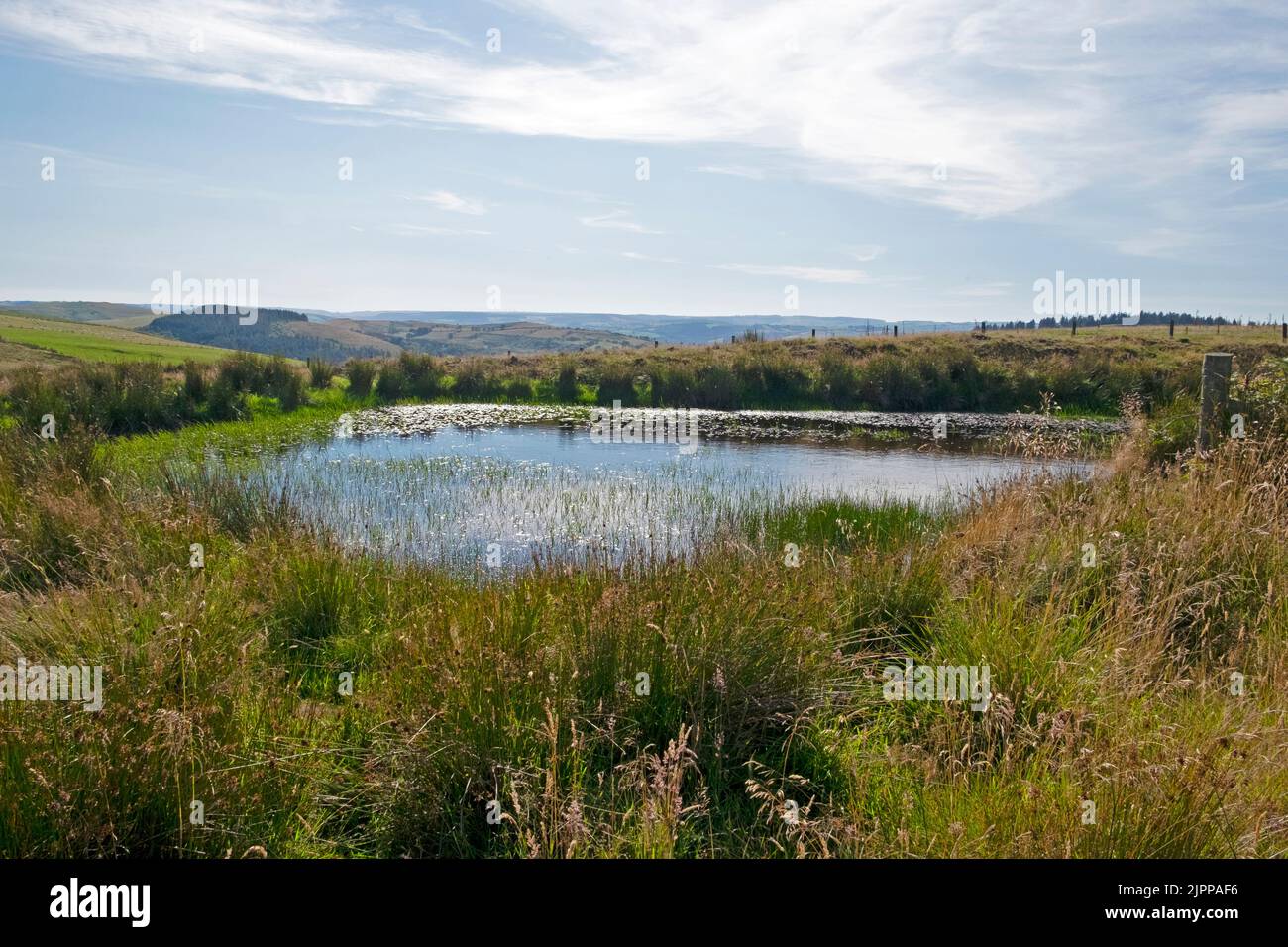 Pool of water tarn on hilltop in agricultural farming landscape summer ...