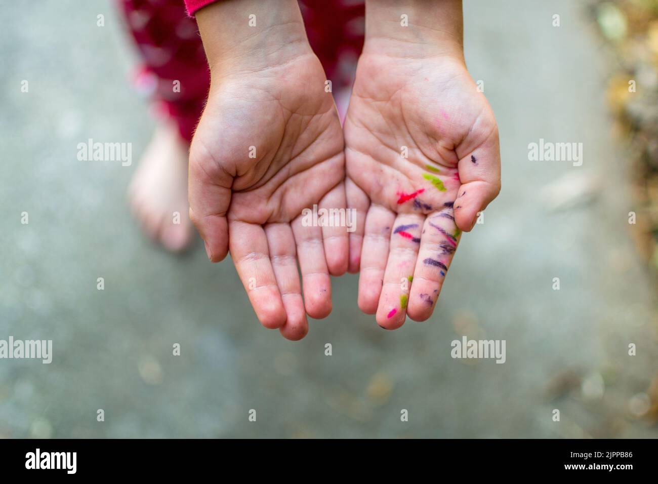 Closeup photo looking down at a small child's hands (white, caucasian ...