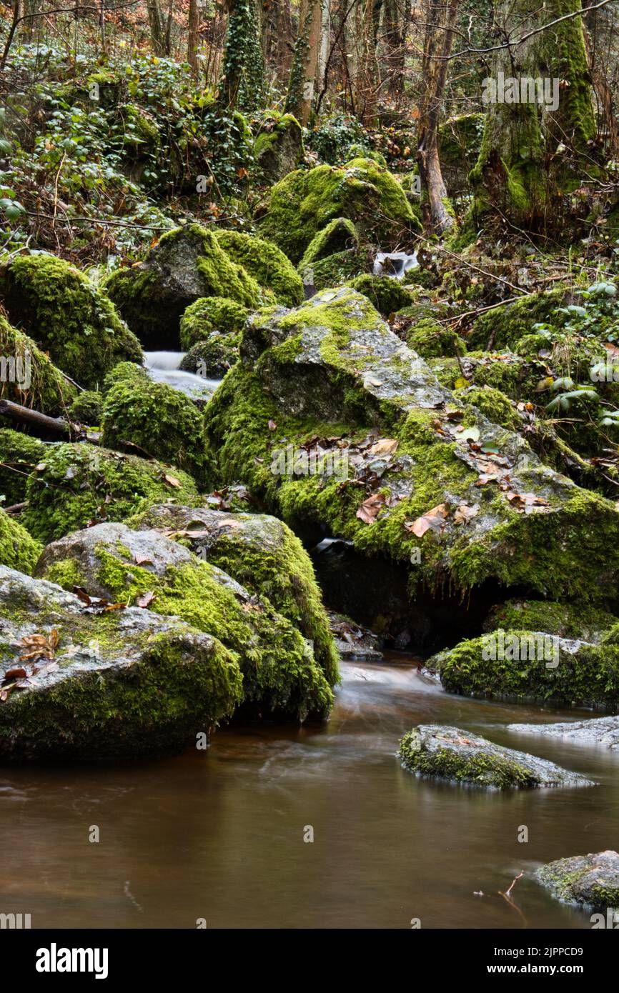 Water running down rocks covered with moss into a small pool at ...