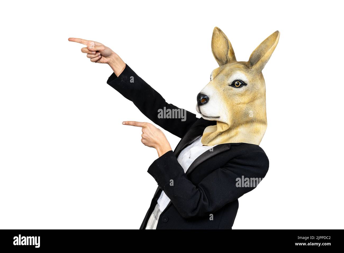 Kangaroo woman pointing to the left with his hands Stock Photo - Alamy